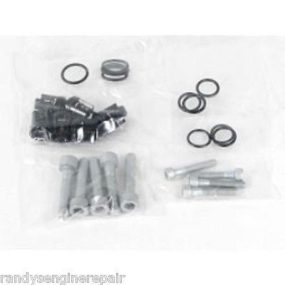 Briggs & Stratton 193806GS Check Valve Kit – Randy's Engine Repair