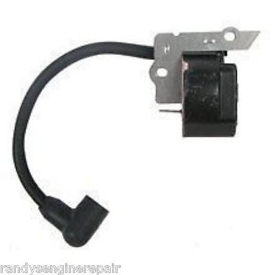 545024901 Ignition Module Coil Poulan Craftsman Weed Eater – Randy's ...